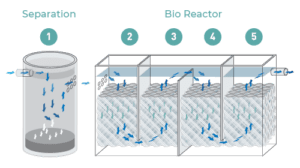 Biorotech-BIO Septic Tank - Penguin